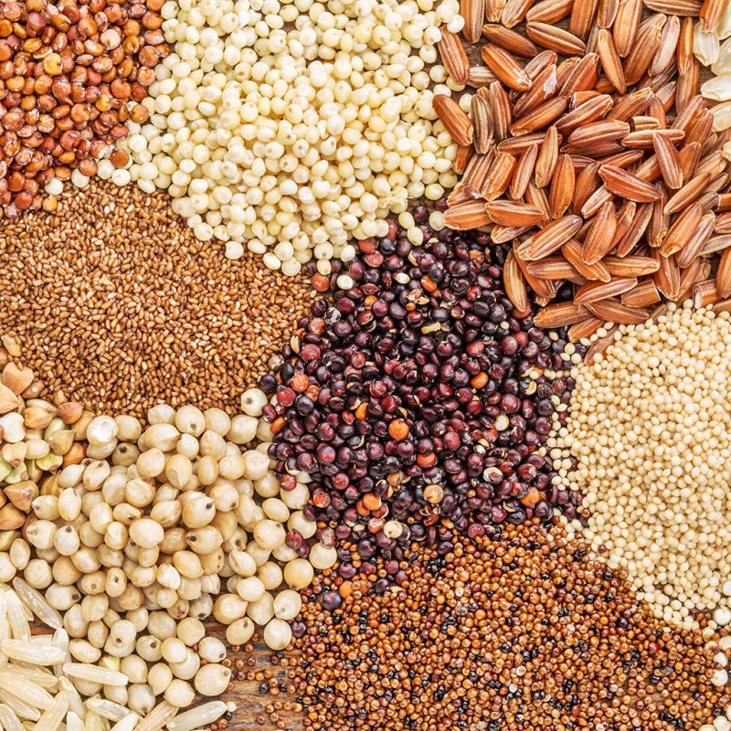 Peneira Rotativa - Verde Equipamentos